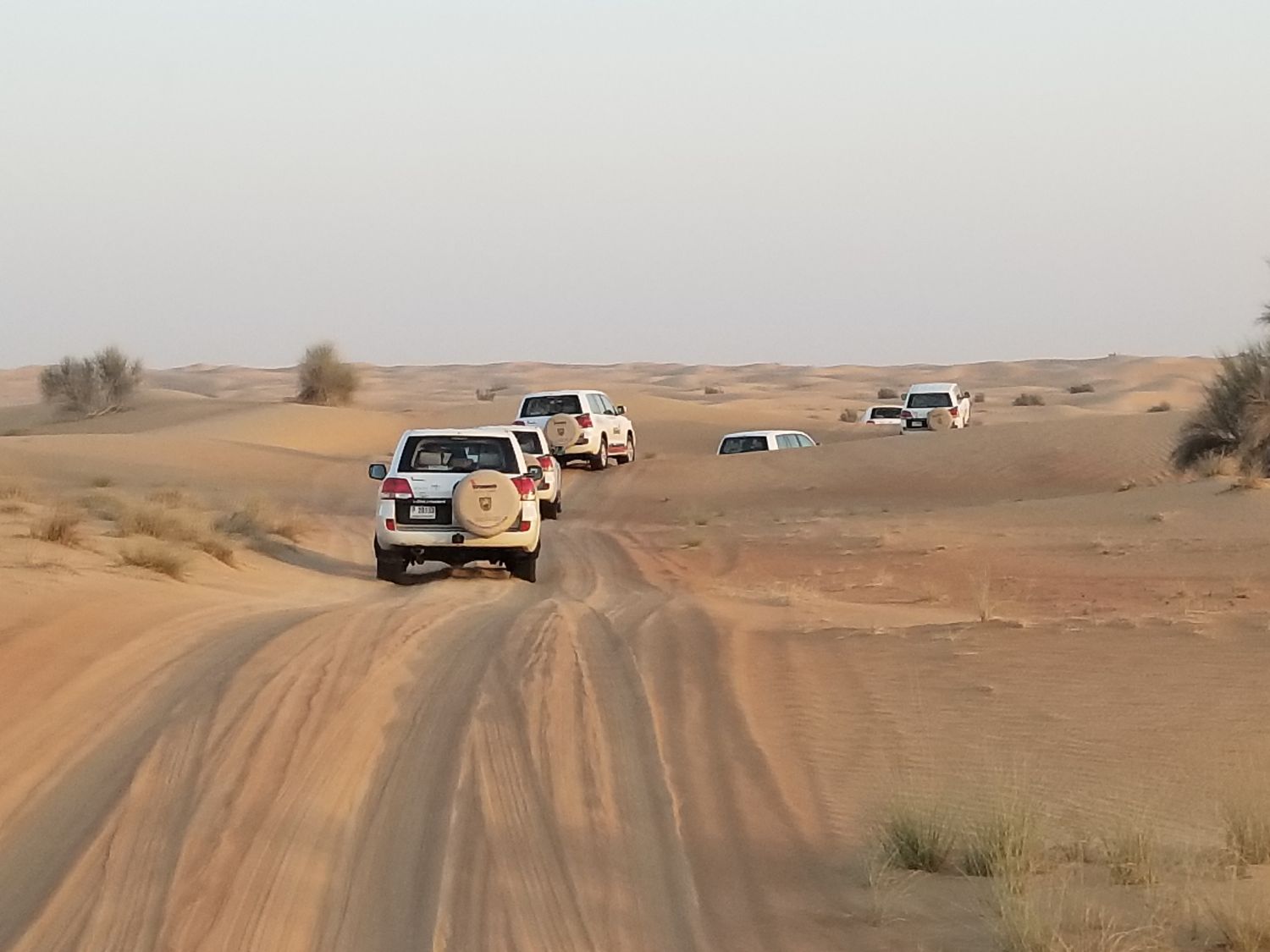 Karen Gershowitz - Travel Mania - Travel Mania